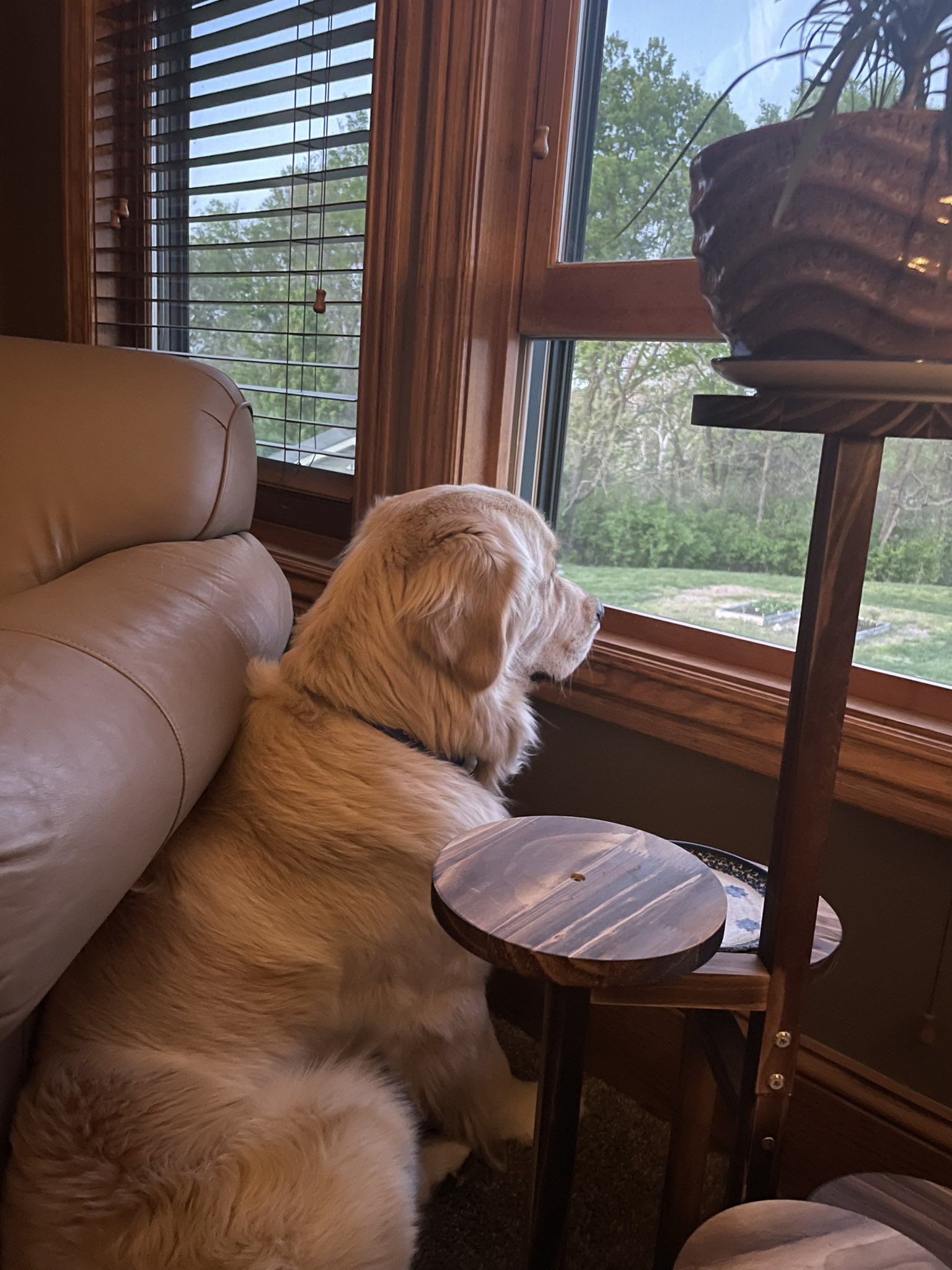 Hank on Twitter: "There is something going on out there and I’m just going to sit here until I ...