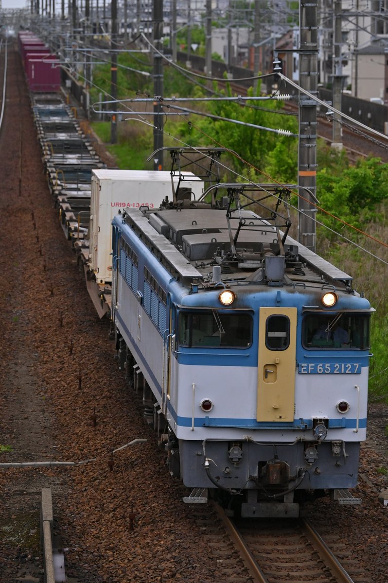 ダイ on Twitter: "5087レ EF65-2127 昨日のカラシ参戦してきました。 4h15m遅れで出直しました。あまりのスカコンなので上からフレームを撮影してやりました（笑 ...