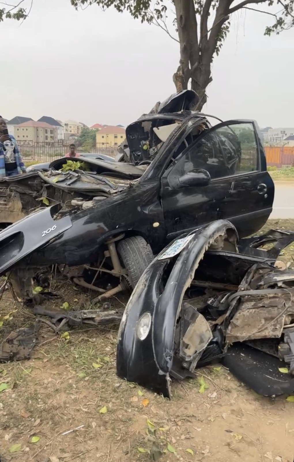 Late For The Lovers Tree