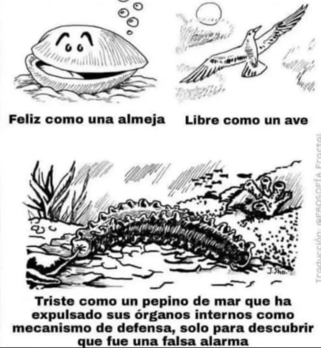 tetona triste ⁺˳‧₊ (@tetonatriste_) / Twitter