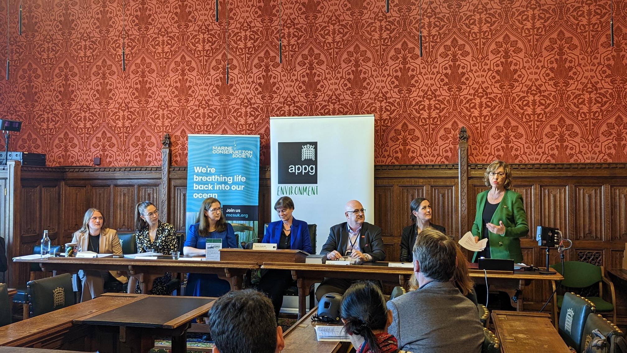 Daisy Vasanthakumar (@lowwastedaisy) / Twitter