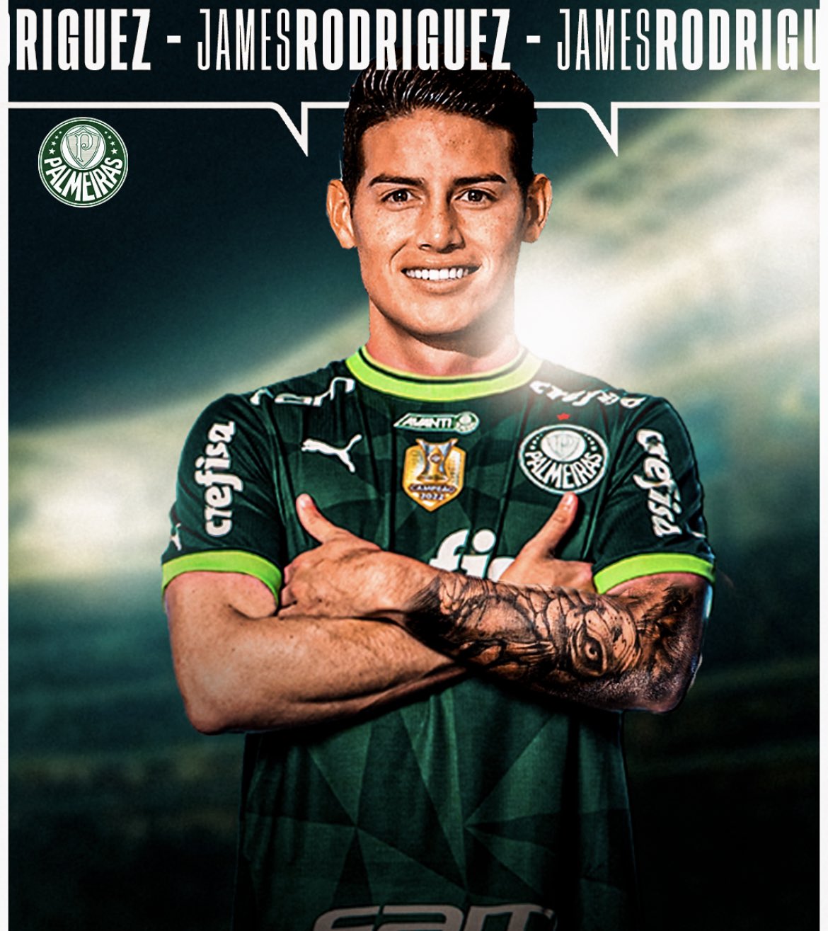 Sou Palmeiras, sim siô ⓟ (@SioPalmeiras) / Twitter