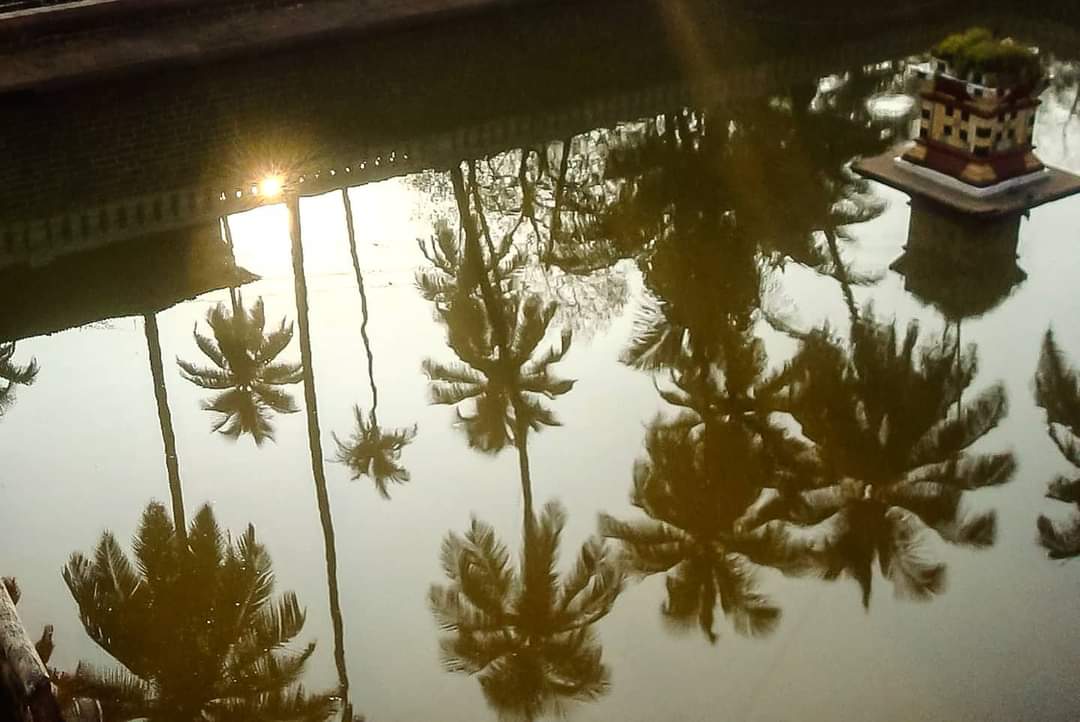 Human Reflections In Water