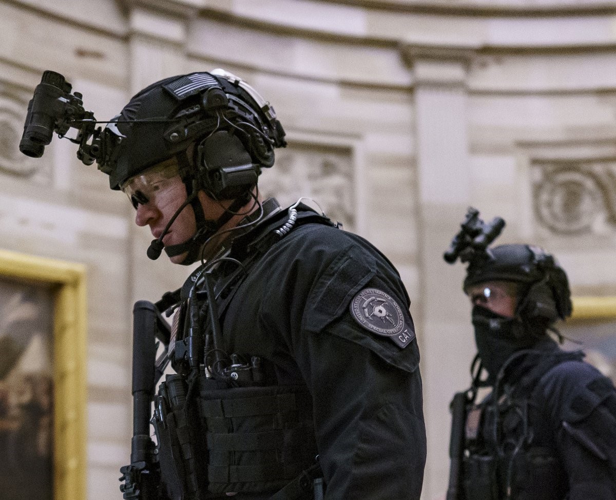 Secret Service Cat Team