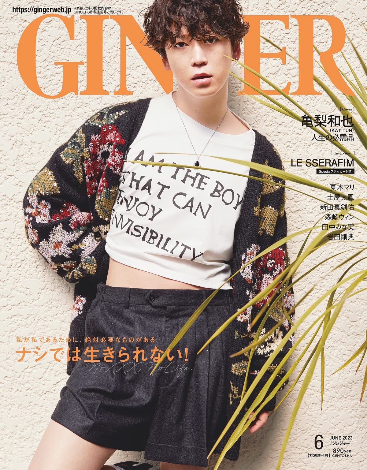 Anan Magazine Kamenashi Kazuya