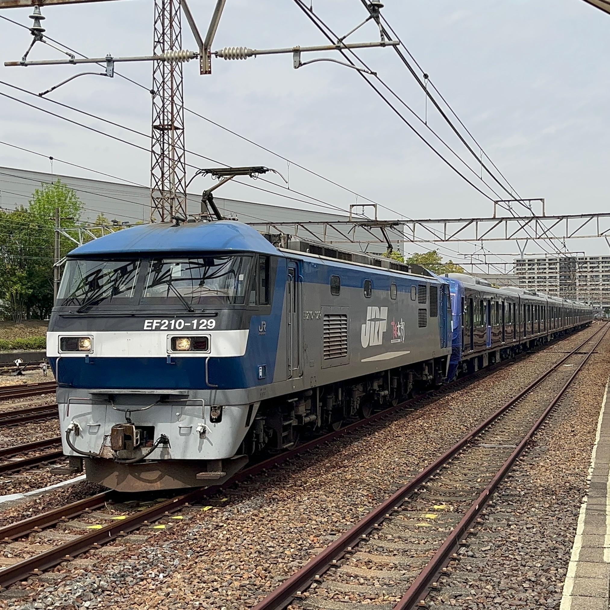 ぁゅ on Twitter: "8862レ 相模鉄道21000系 日立笠戸事業所出場-甲種輸送 EF210-129(岡)+21109F 8B ダイヤ改正で時刻が変わったのか遅延があったのかは ...