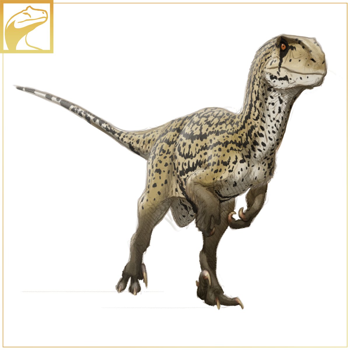 Walking With Dinosaurs Utahraptor