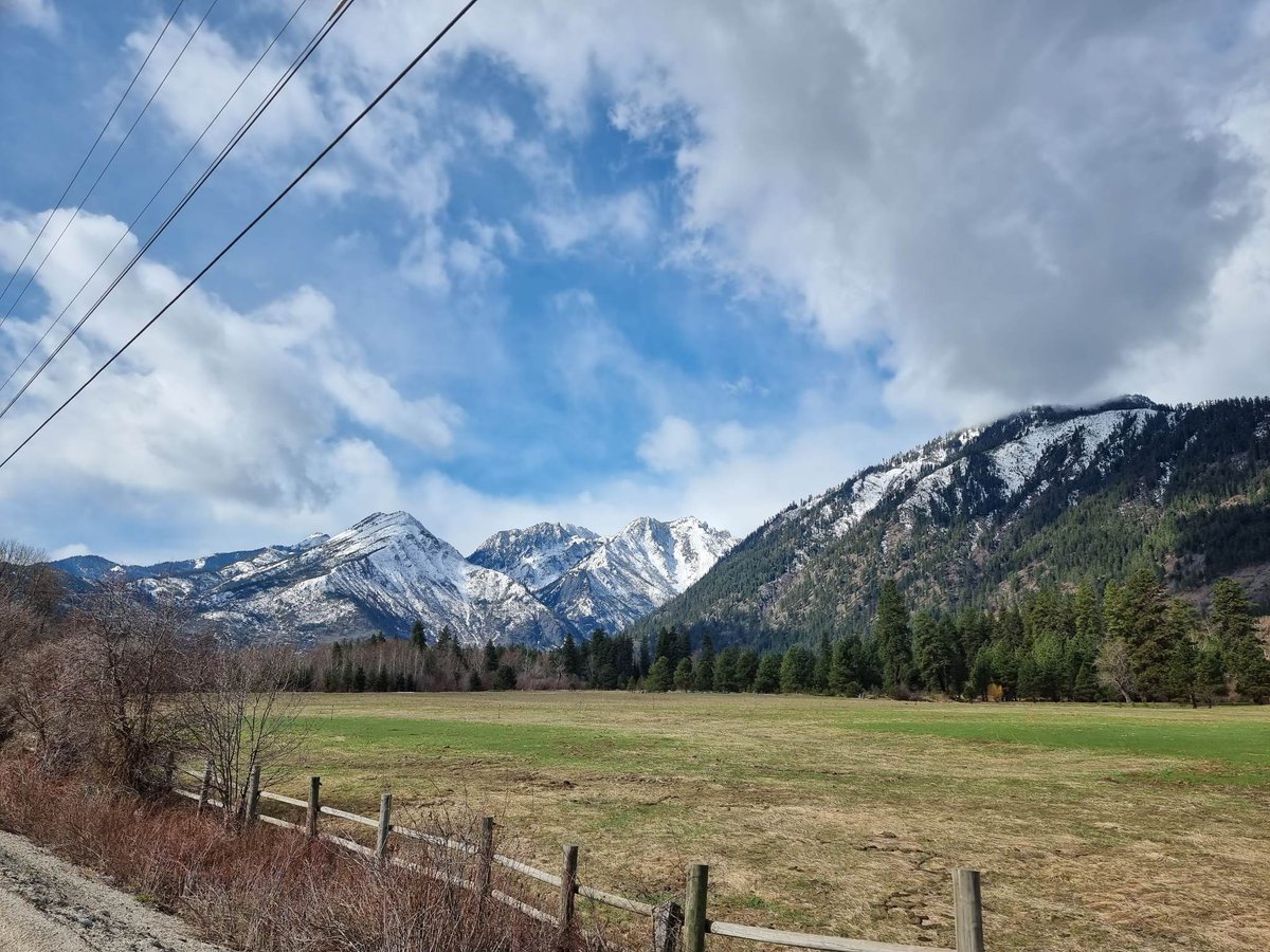 DIG Aussie Antics on Twitter: "No streams until Thursday. Going away for a few days for my ...