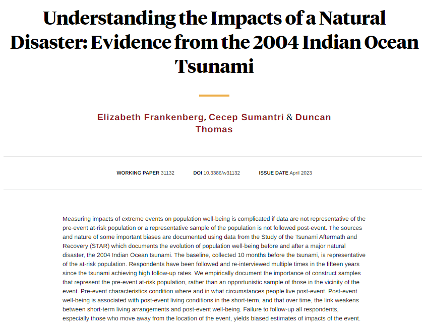Disaster Natural Indian Ocean Tsunami