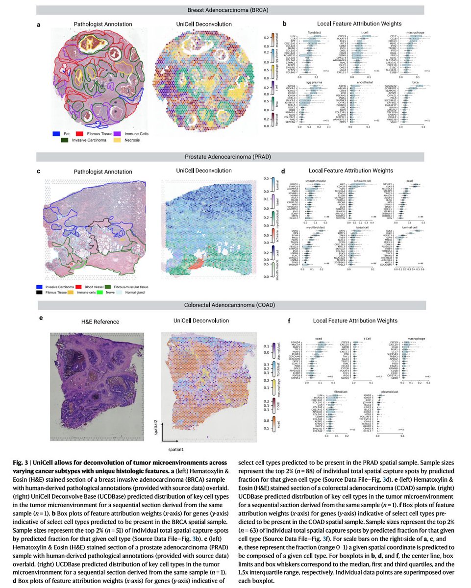 Biodecoded On Twitter Interpretable And Context Free Deconvolution Of 2136