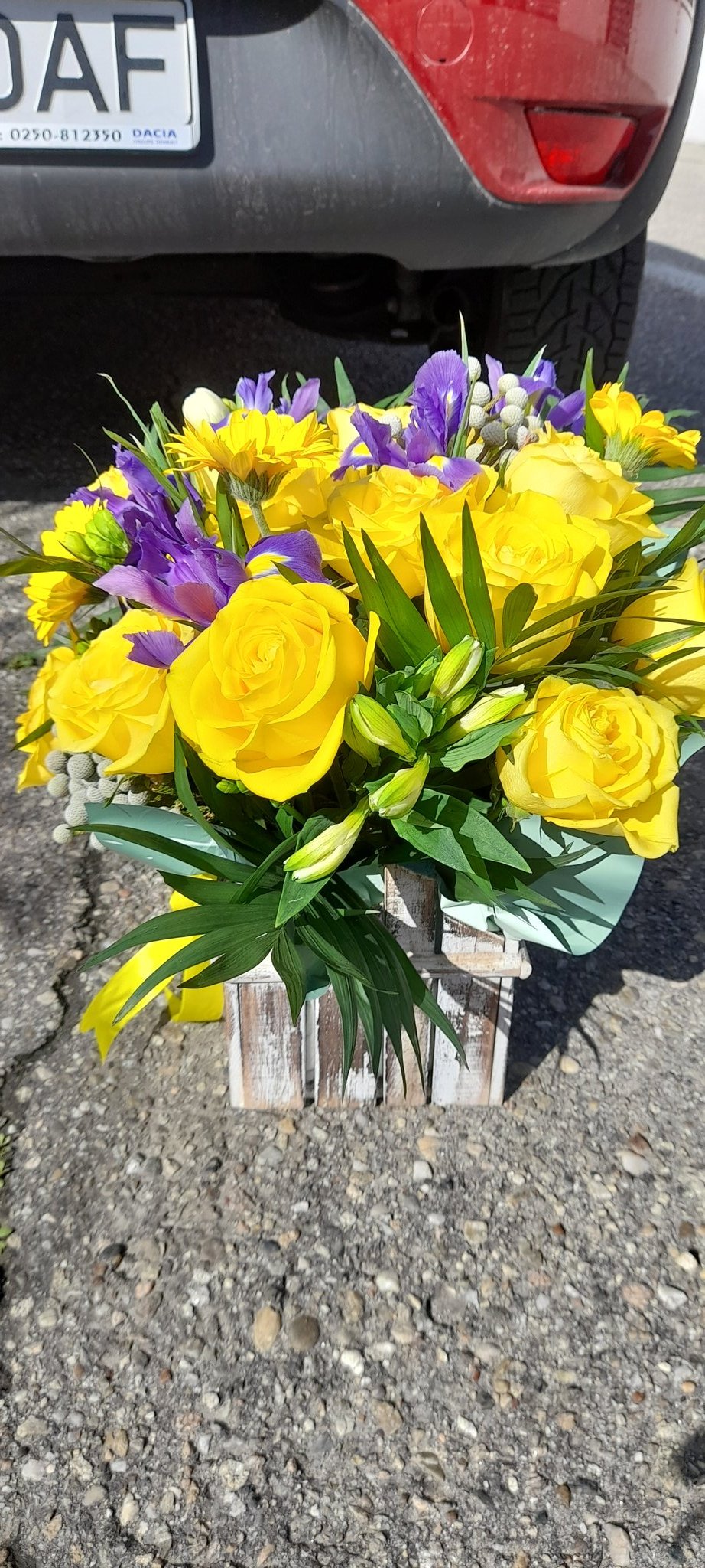 Amaliaonly on Twitter: "vrei sa vorbim? Hai pe instagram: Amalia Andreea Dodea 💝 https://t.co ...