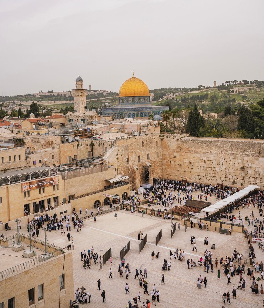 Eliad Cohen on Twitter: "The Holy City. Exploring the rich history and ...