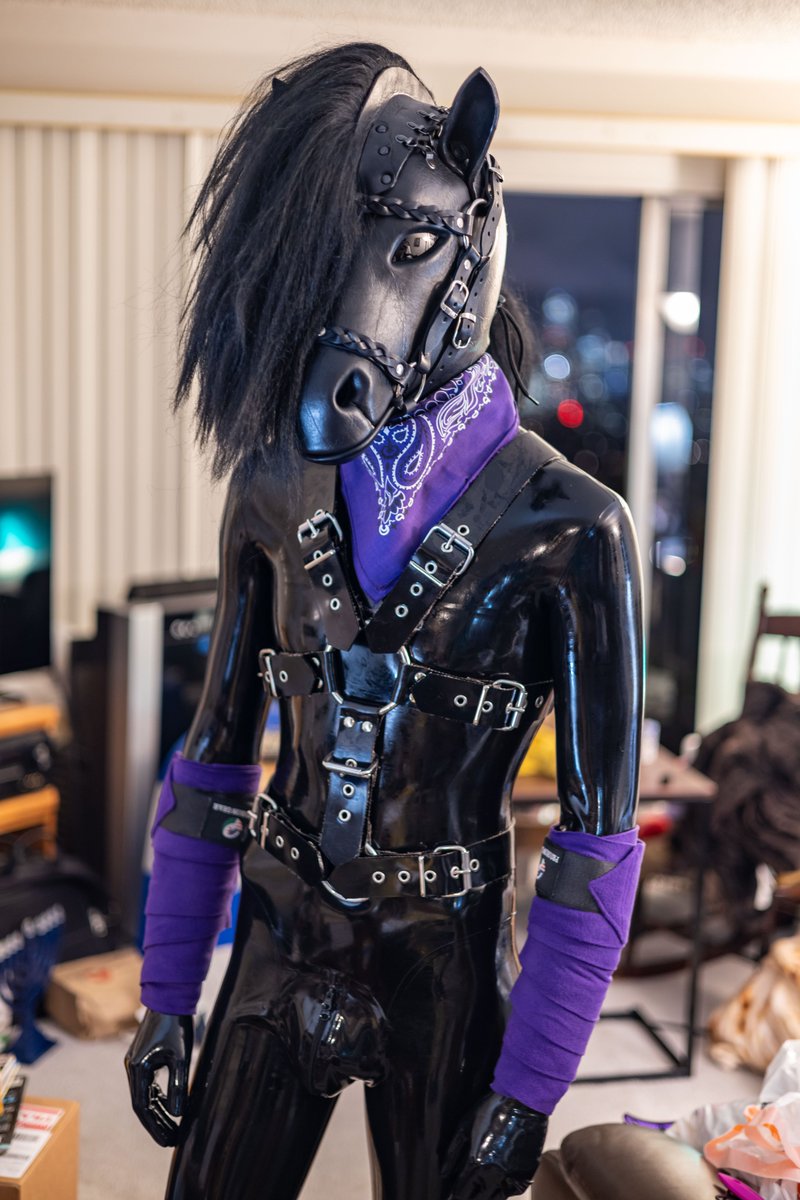 Pup Rally on Twitter: "RT @AkaruAD: Pony play tack rules. 📸 @RubberHandler"