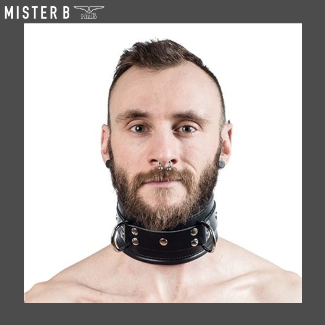TW Pornstars - Mister B Amsterdam. Twitter. Mister B Leather Slave Collar Black Padding A wide ...