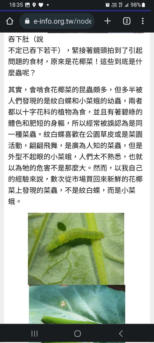 Kircheis 小孩貓🐱 on Twitter: "花椰菜果然是很吸引昆蟲 https://e-info.org.tw/node/99548"