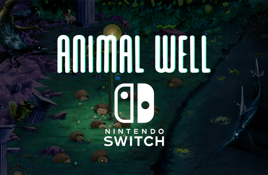 BIGMODE Games on Twitter: "yes!! ANIMAL WELL will be coming to nintendo switch, thank you reggie ...