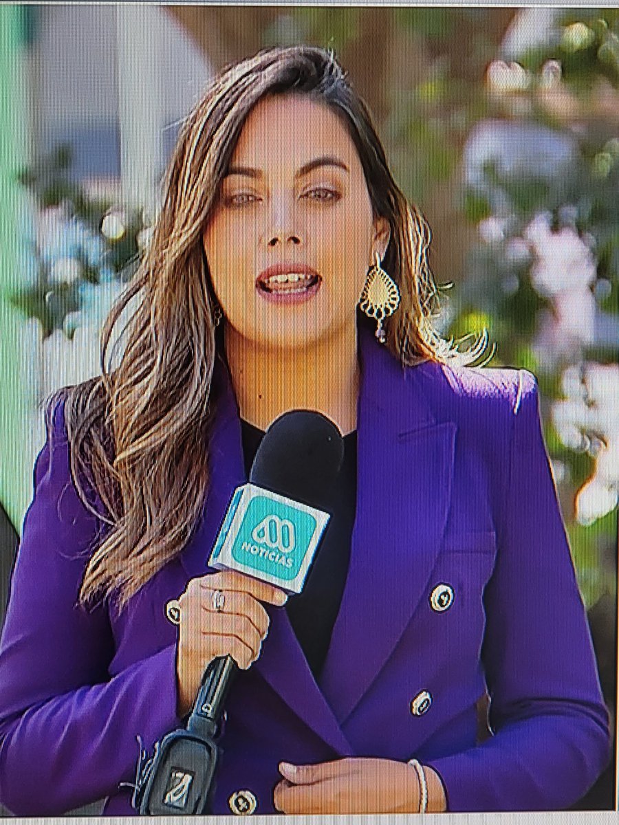 Max on Twitter: "Daniela valdes Periodista de Mega EXCELENTE PROFESIONAL Neutral y buena diccion ...