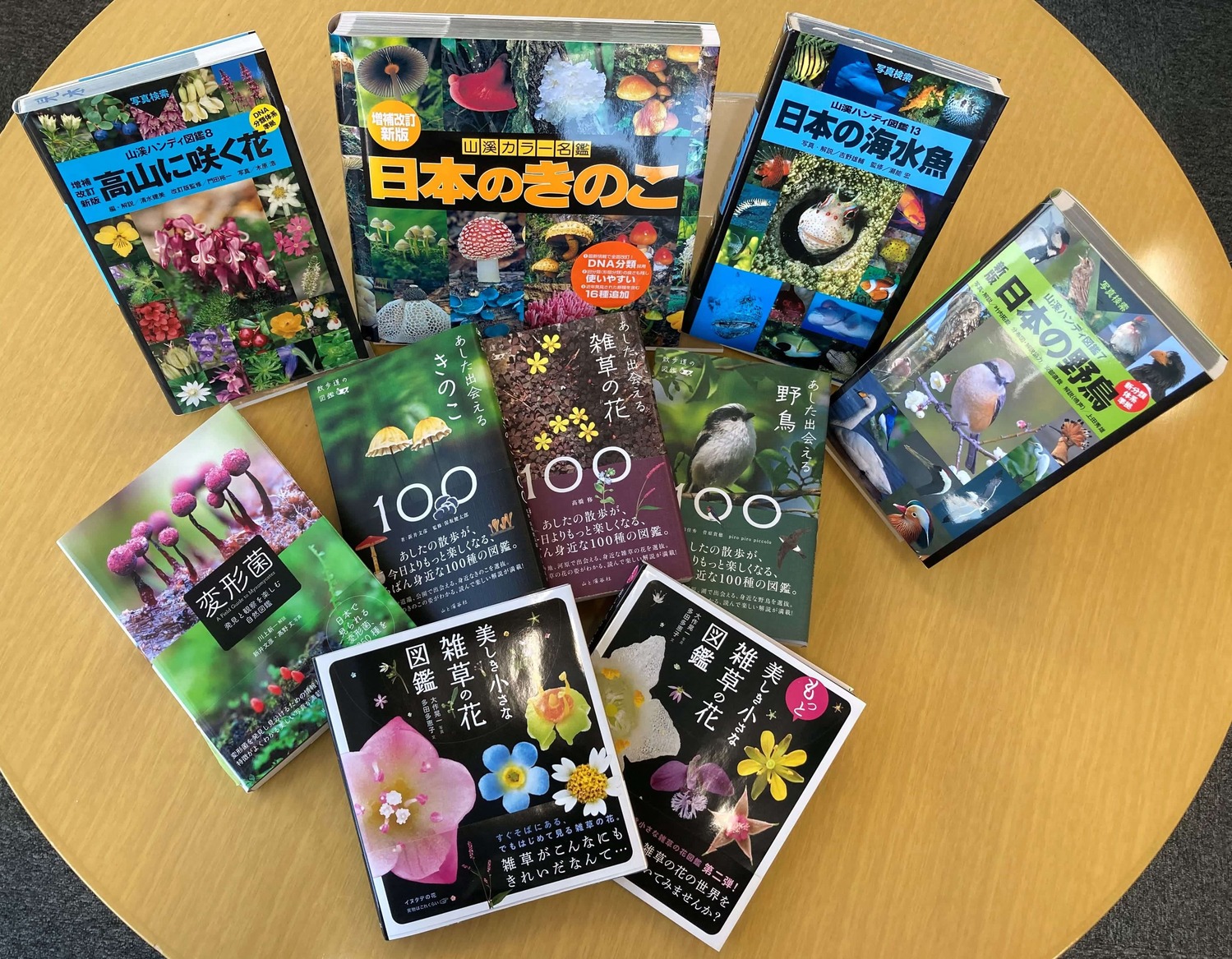 山と溪谷社 出版営業部 (@YAMAKEI_eigyo) / Twitter