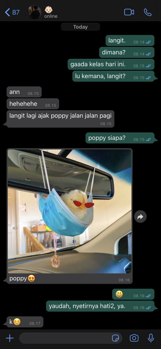 Enn on Twitter: "poppy🥹🤏🏼"