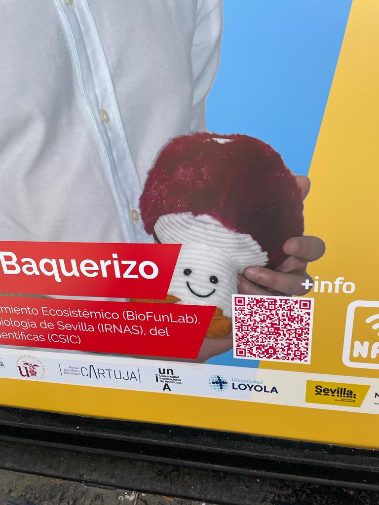 ManuDelgadoBaquerizo on Twitter: ManuDelgadoBaquerizo on Twitter: