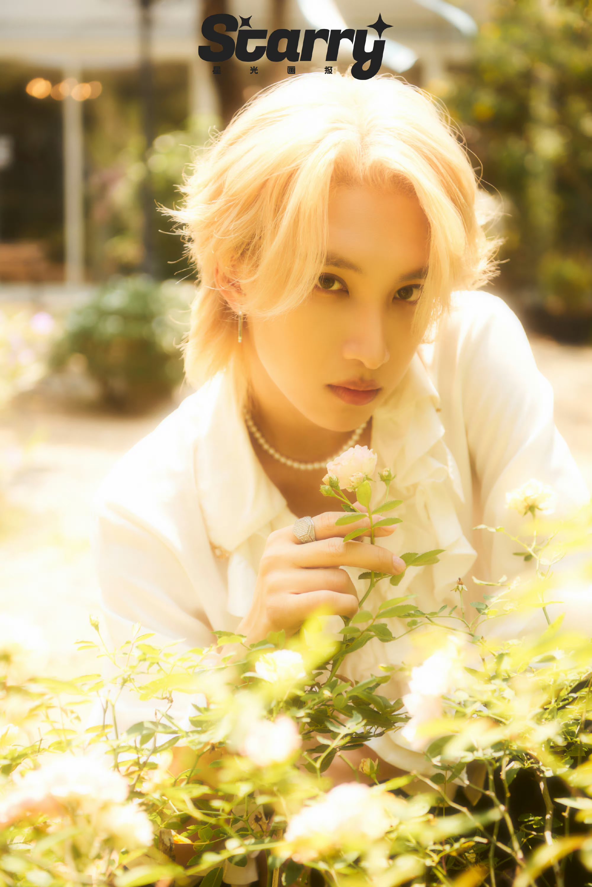 BossNoeul Brasil | Fan Account (@BossNoeulBrasil) / Twitter