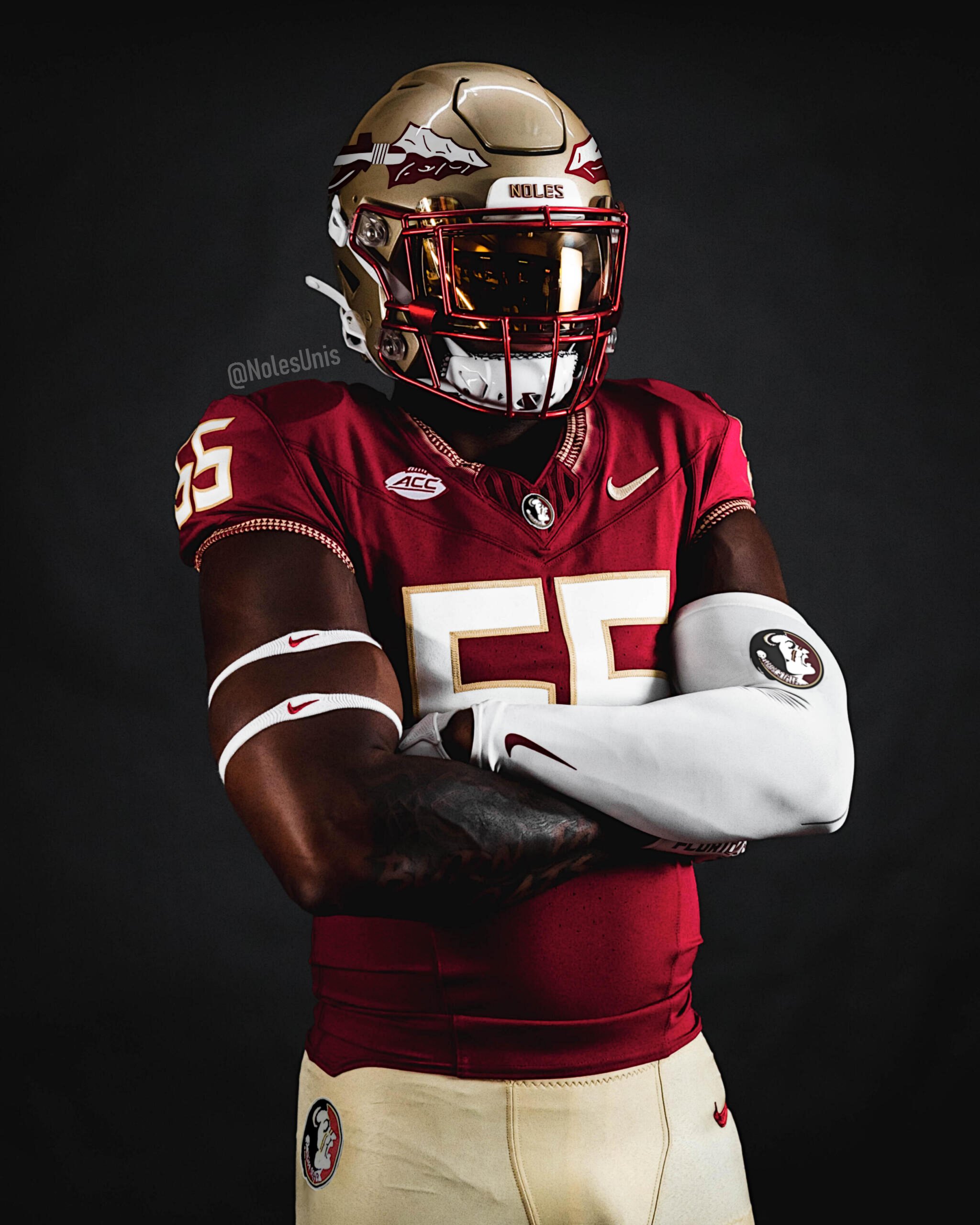 Fsu New Helmets