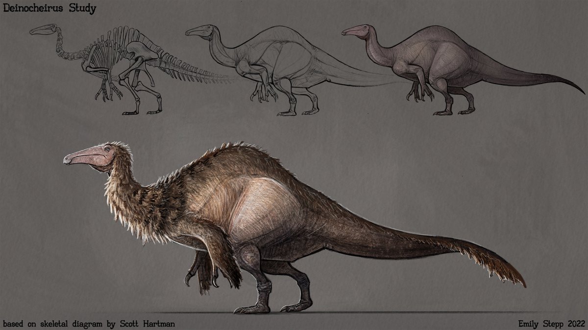 Emily Stepp on Twitter: "Here's some paleoart studies where I'm ...