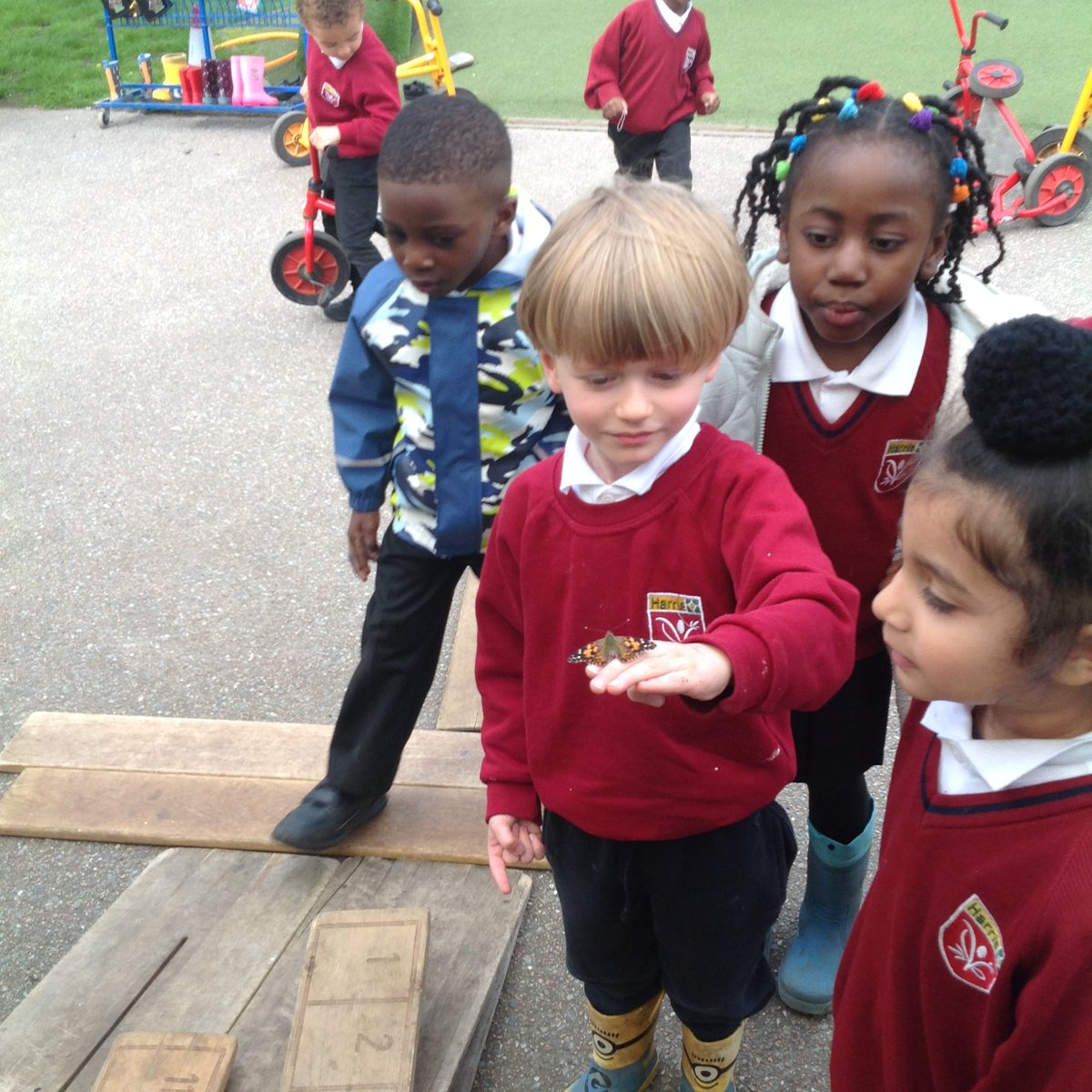 Subjects - Harris Primary Academy Kent House