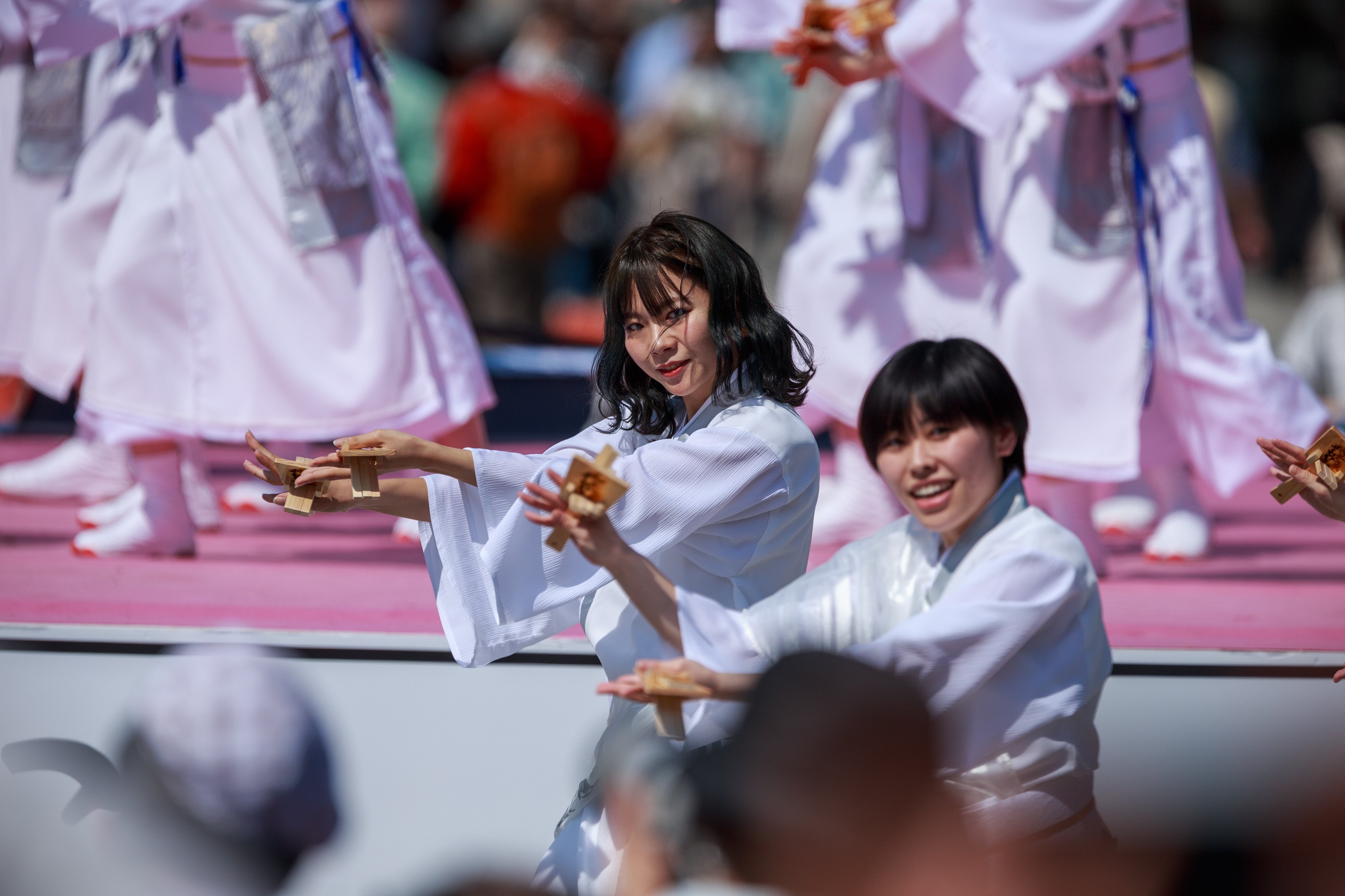 きむら on Twitter: "柳葉魚のざわめき 2023.4.1第19回京都さくらよさこい1日目 神宮道スペシャルステージ #柳葉魚のざわめき #ししゃめき #よさこい #さくよさ ...