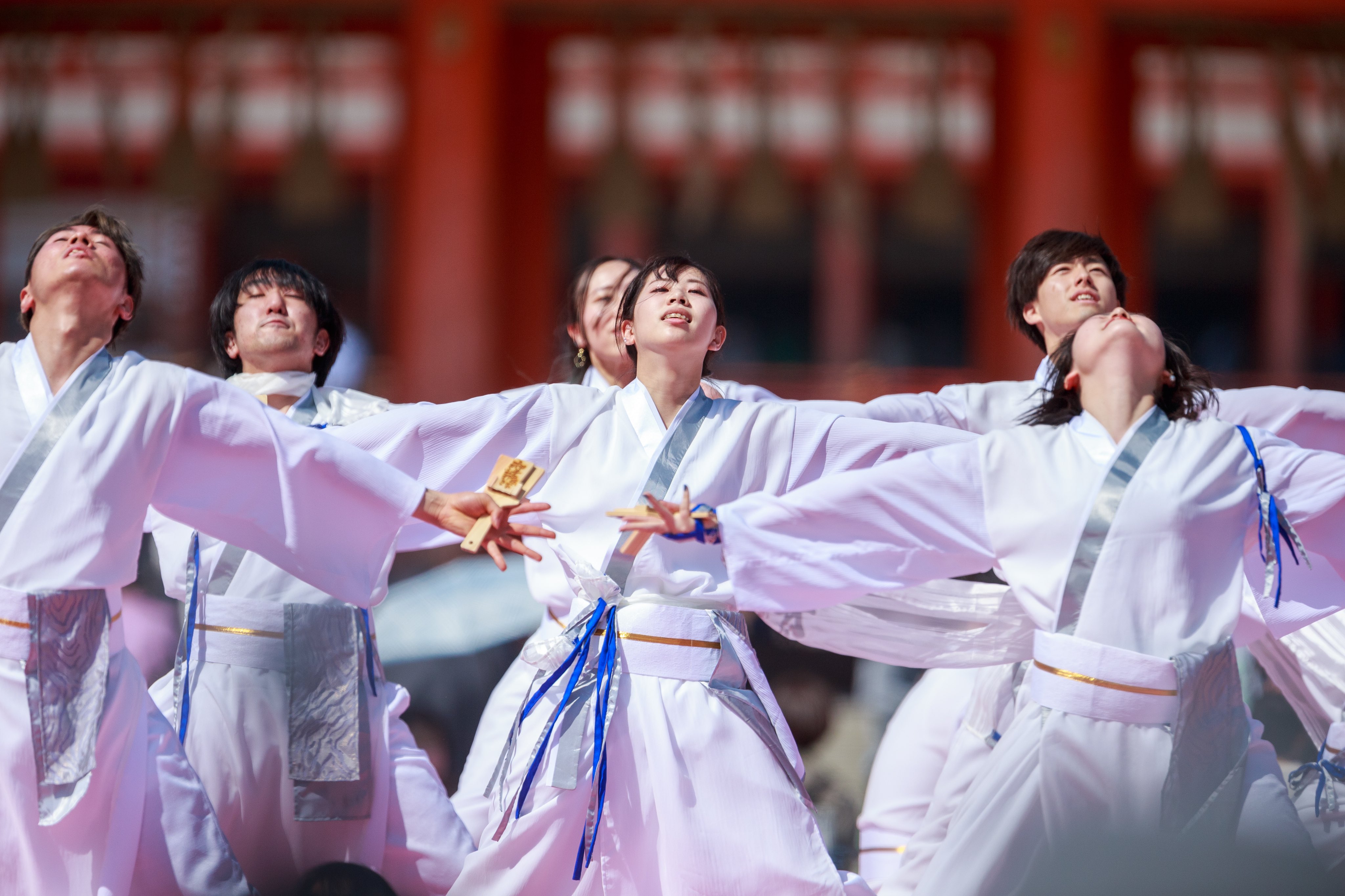 きむら on Twitter: "柳葉魚のざわめき 2023.4.1第19回京都さくらよさこい1日目 神宮道スペシャルステージ #柳葉魚のざわめき #ししゃめき #よさこい #さくよさ ...