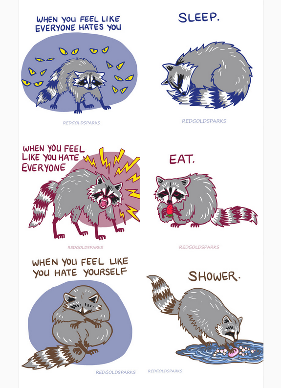 Raccoon Meme Meow