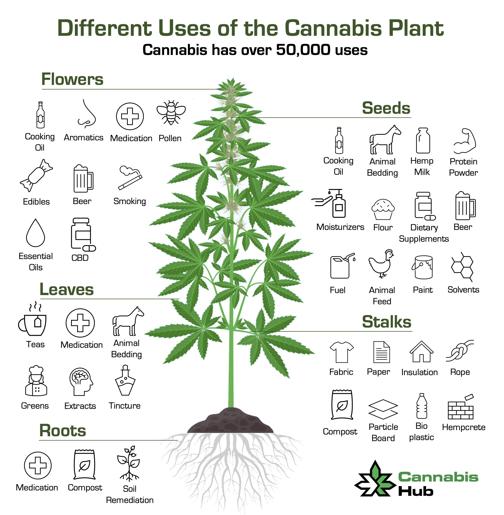 Cannabis Chart