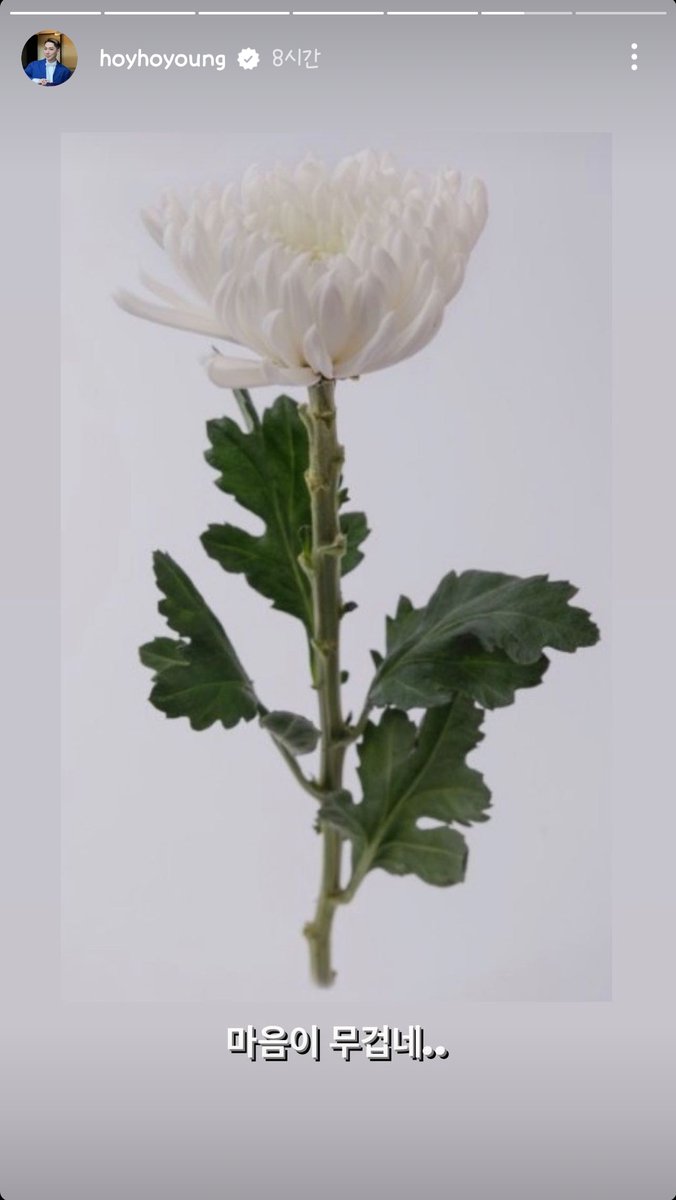 인스티즈 on Twitter: "[정보/소식] 김호영 인스타 https://instiz.net/name_enter/87439955…"