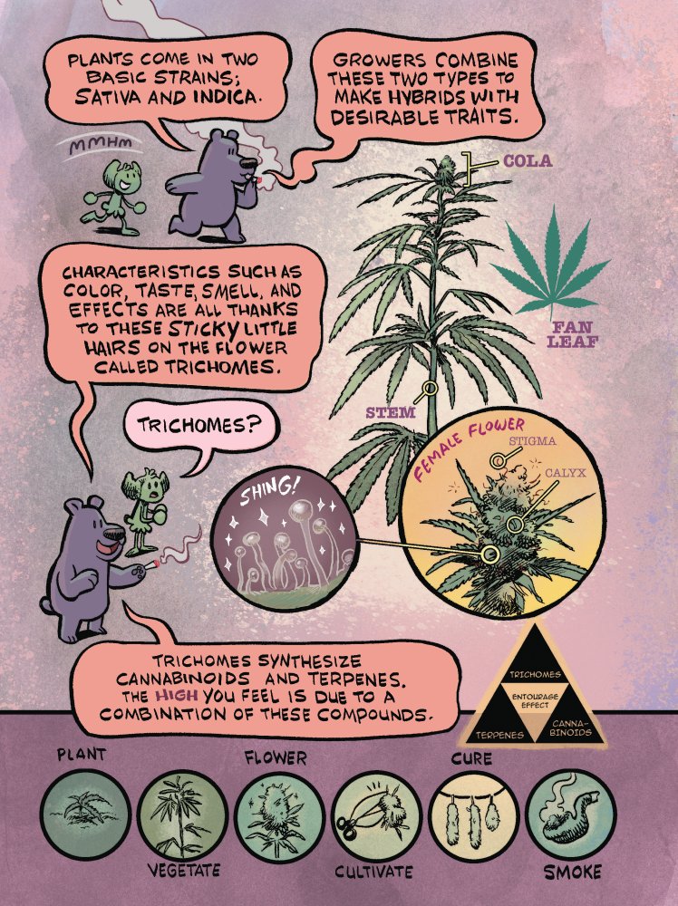 Iron Circus Comics on Twitter: "Pssst. Hey, Night Twitter. You have just ONE HOUR LEFT to grab ...