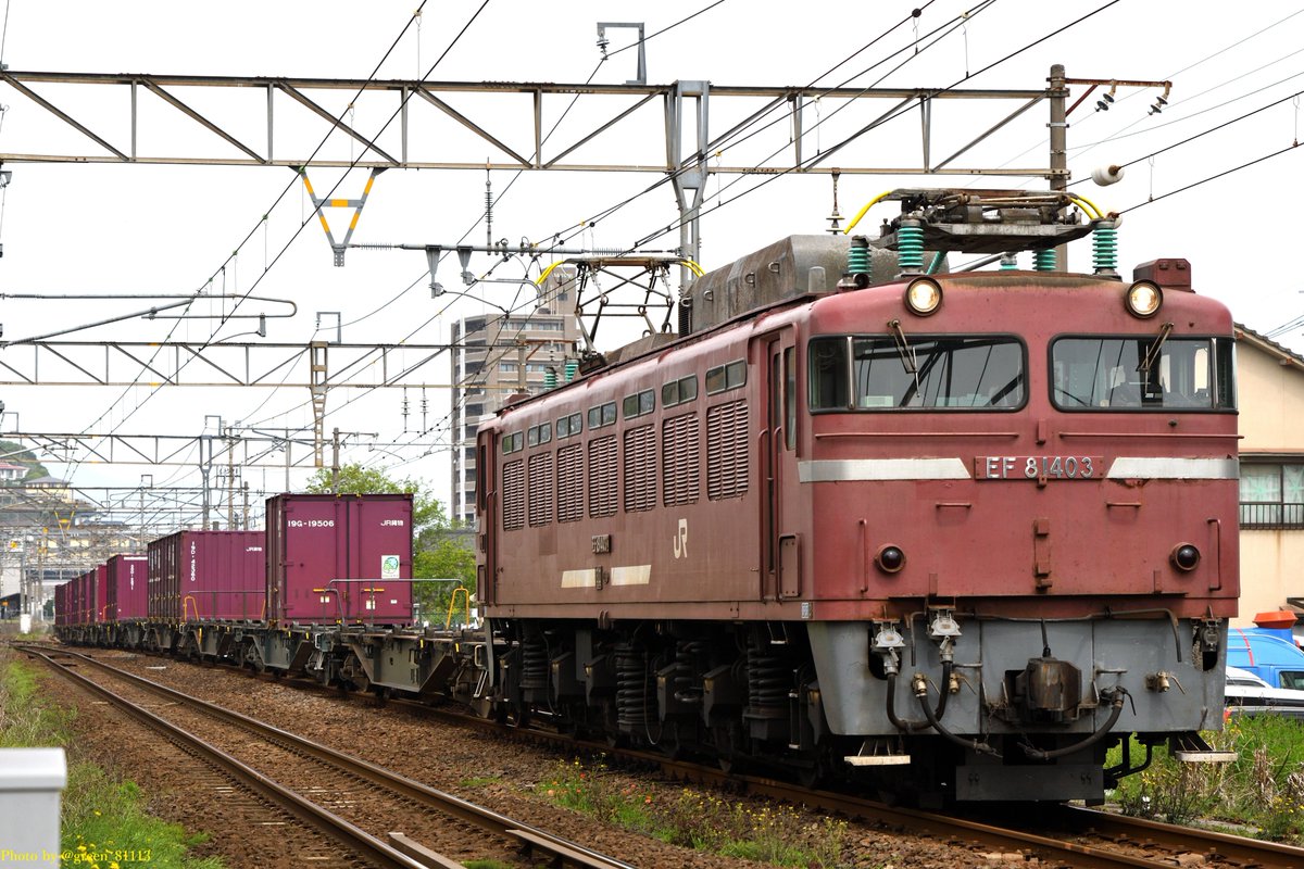 KZ on Twitter: "2023/4/19 4075レ EF81形403号機[門] 代走 延岡貨物もローピン代走を撮影できました。痛みが激しく今年までかなと思ってしまいました。 西大分 ...