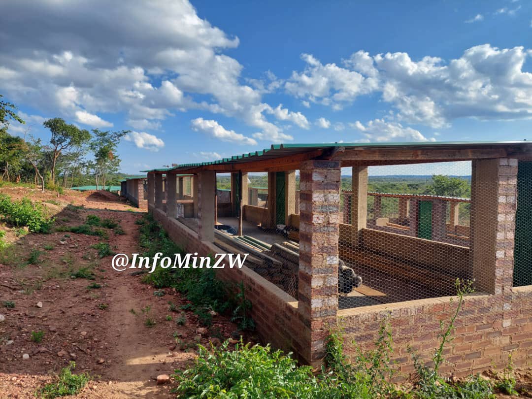 Nick Mangwana on Twitter: "KWEKWE DISTRICT Govt through @nssazw is implementing a Commercial ...