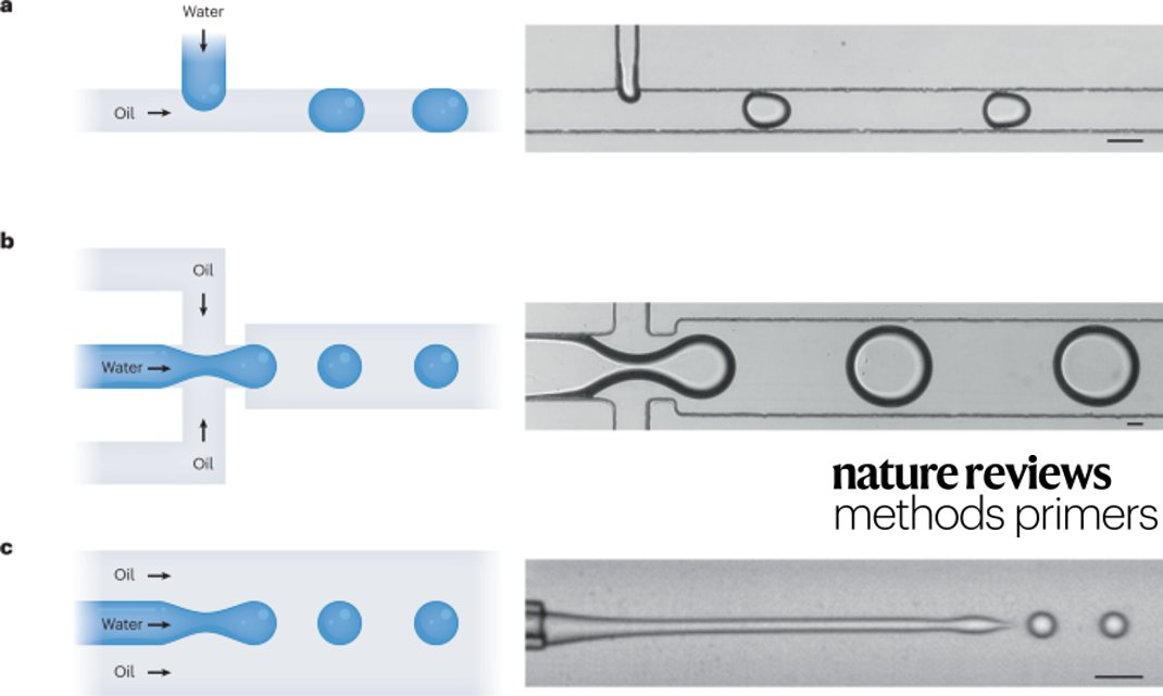 Nature Reviews Methods Primers on Twitter: Nature Reviews Methods Primers on Twitter:
