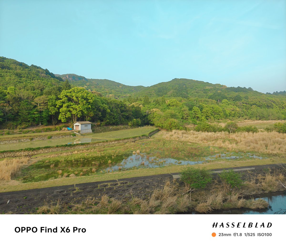 nakajimegame on Twitter: "RT @hasuyan_gadget: OPPO Find X6 Pro Hasselbrad 放射輝度フィルター こんなSNS映えしそうな ...