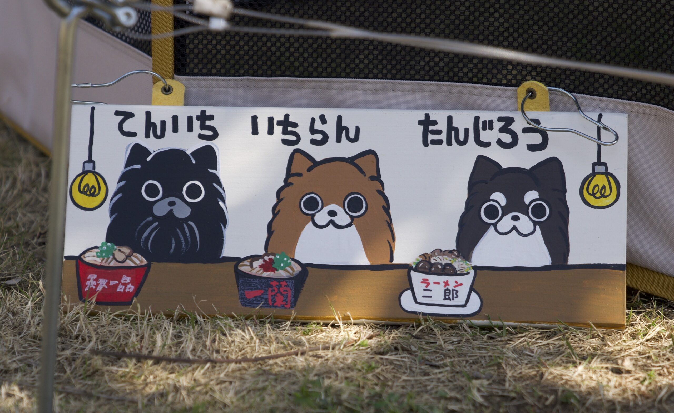 cazual＠アウトドアメディア (@cazual_tv) / Twitter