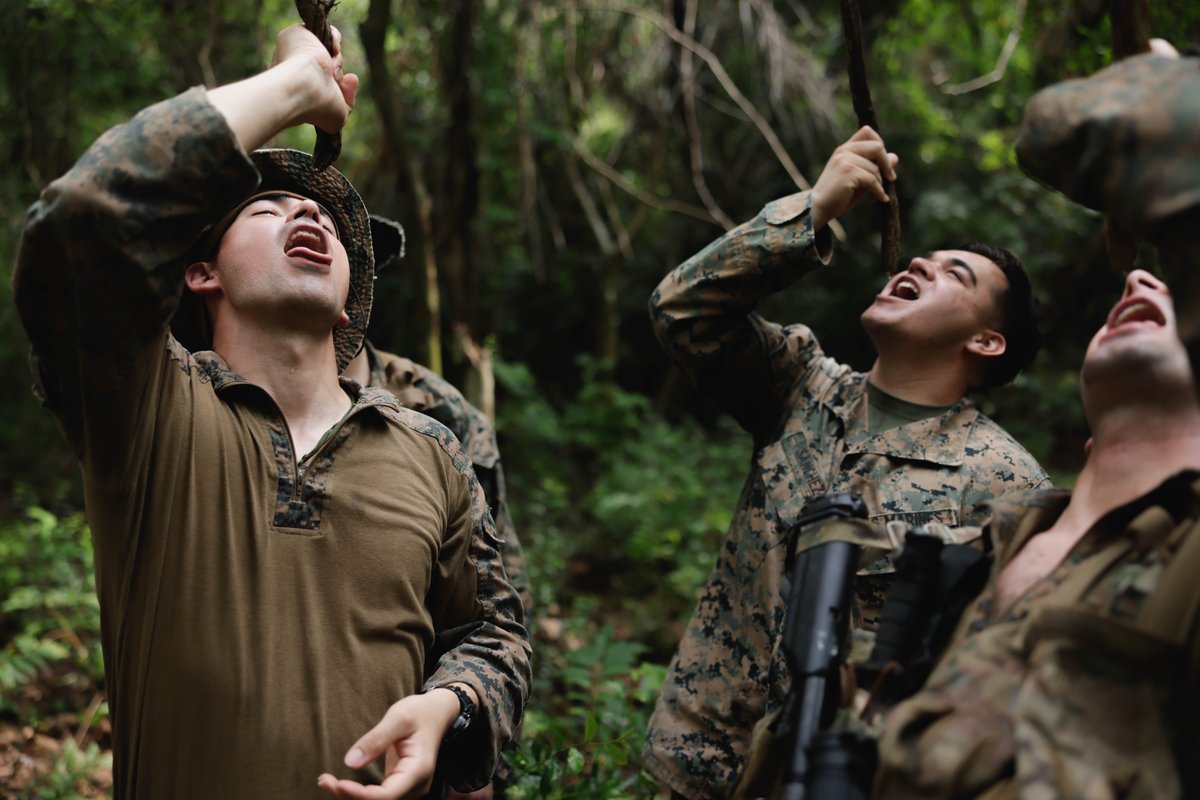 III MEF Marines on Twitter: "Balikatan 23 | Jungle Survival Training 📍 Marine Base Gregorio Lim ...