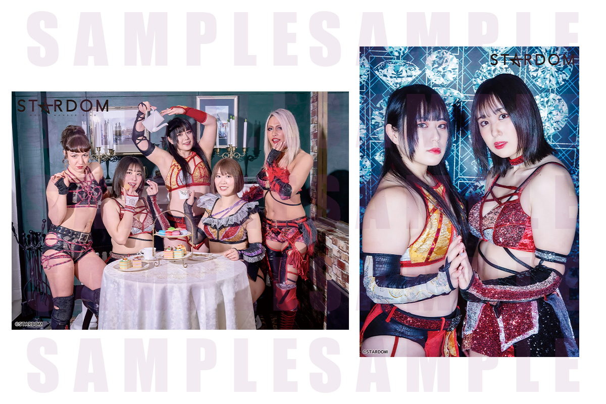スターダム STARDOM on Twitter: "🚩新商品情報🚩 『ポートレート DDM』『ポートレート 舞ひめ』が発売 ️ 4・23『ALLSTAR GRAND QUEENDOM ...