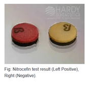 Two organisms we frequently see in sputum culture = Haemophilus ...