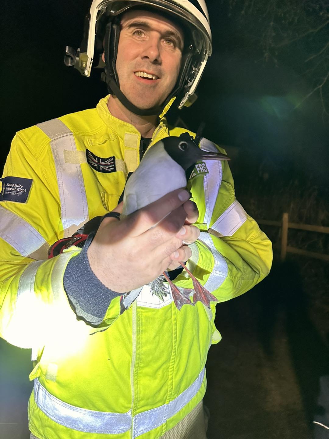 On-call crew assist rescue of bird from Fleet Pond - Hampshire & Isle ...