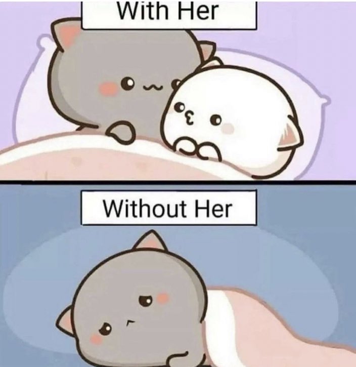Not Cute And Kinky Memes On Twitter