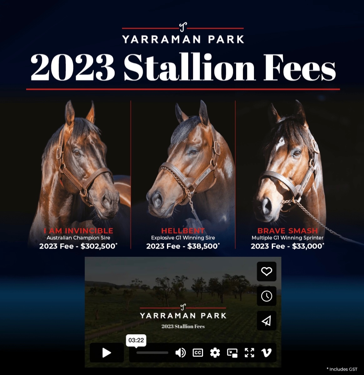 ANZ Bloodstock on Twitter: ANZ Bloodstock on Twitter: