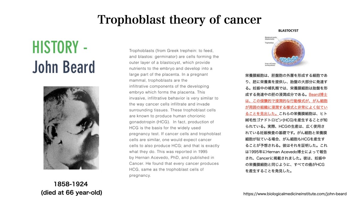 ひよどり きびお on Twitter: "John Beard博士 がんのトロフォブラスト発生説"