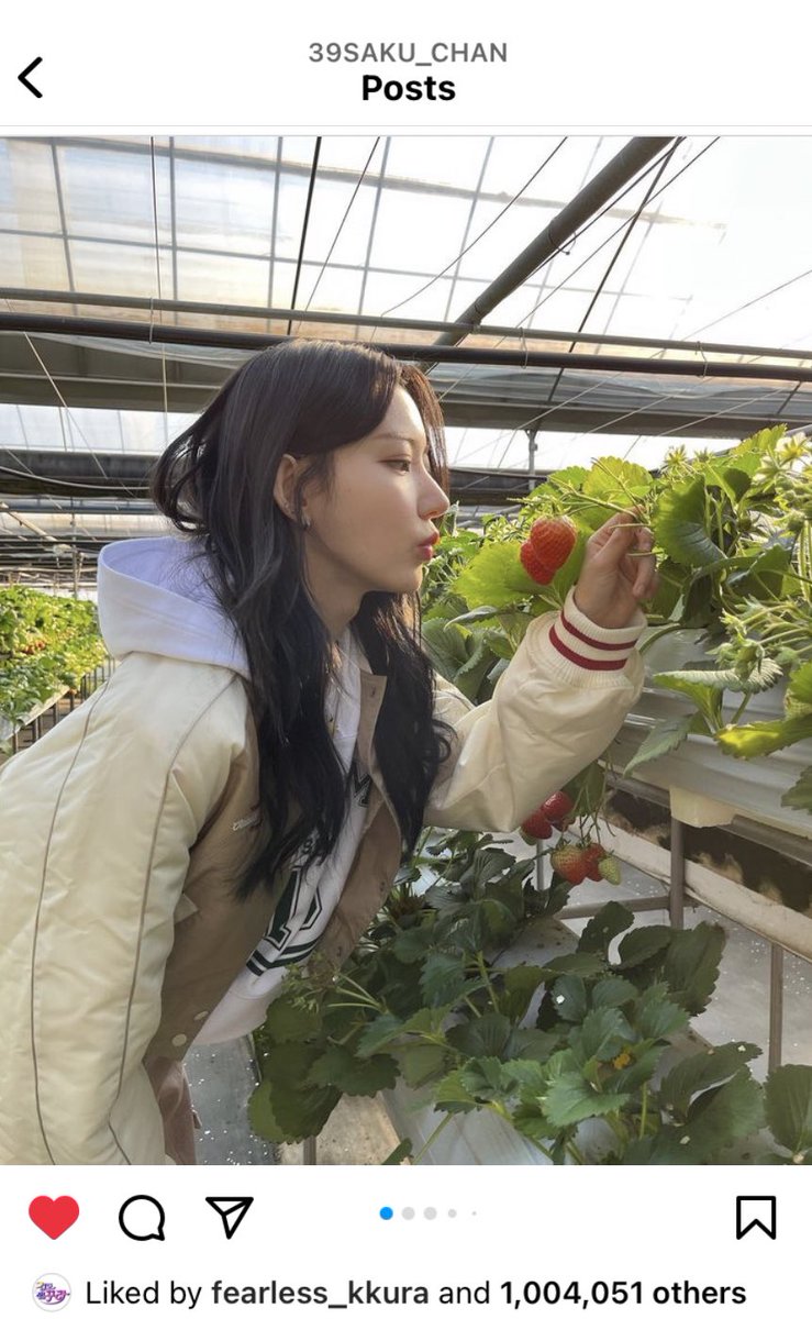 SAKURA CHART on Twitter: "Sakura's 72nd instagram post that reached 1M Likes!! 🔗: https ...