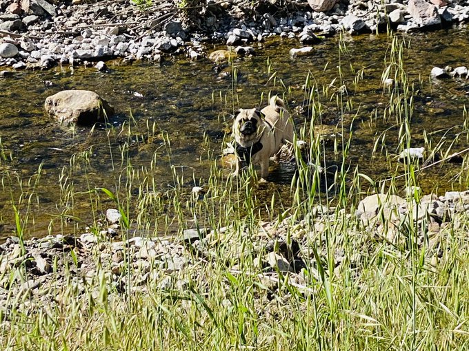 TW Pornstars - Dana Vespoli. Pictures and videos from Twitter. Page 13