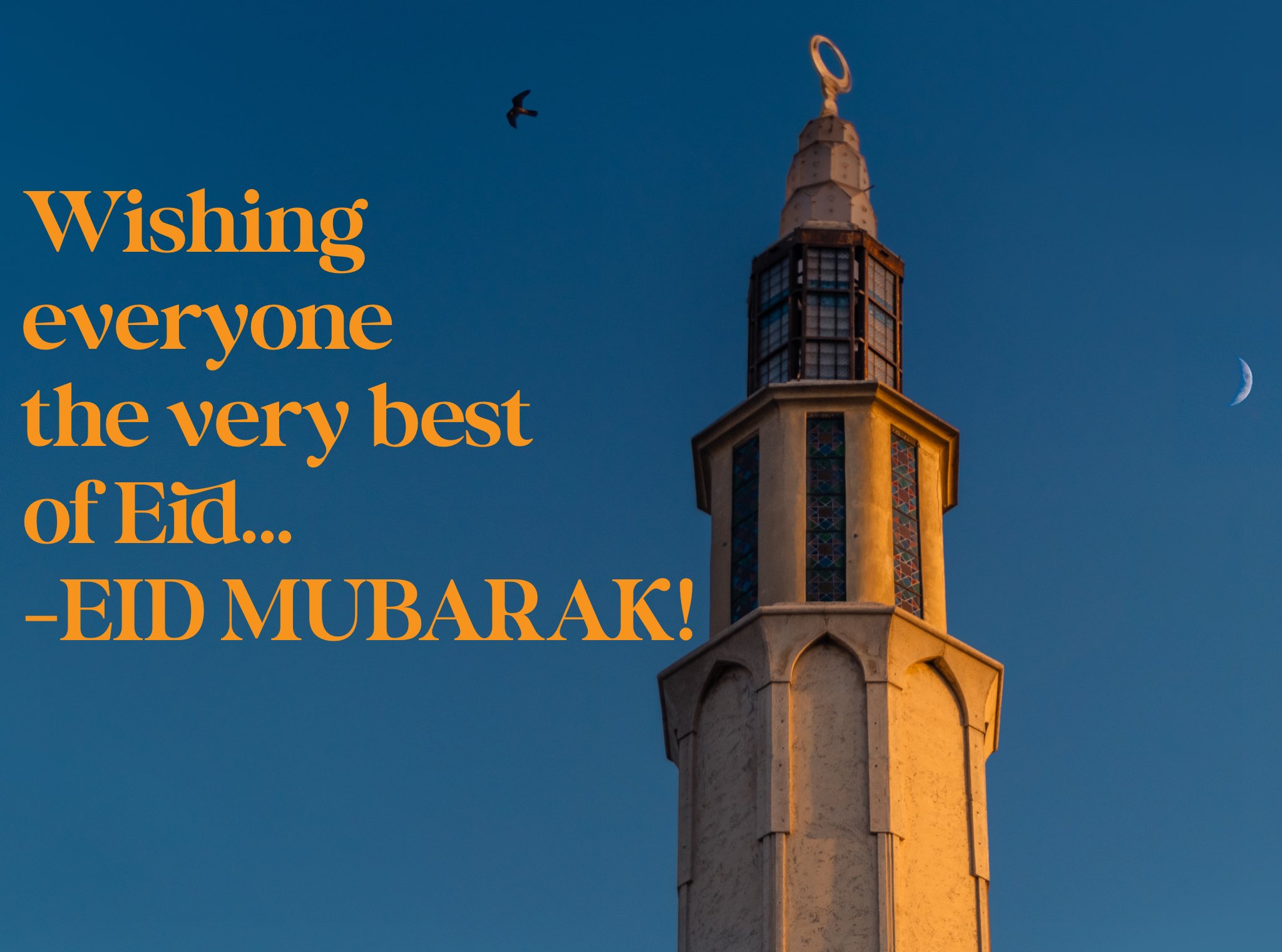 Nouman Ashraf (@S_Nouman_Ashraf) / Twitter