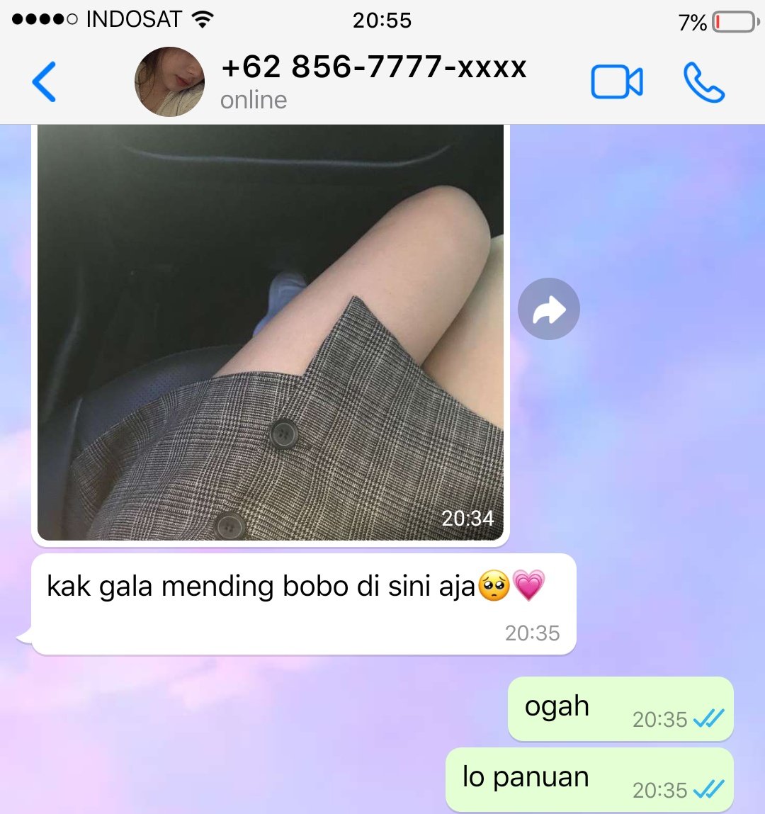 Tamara on Twitter: "207"